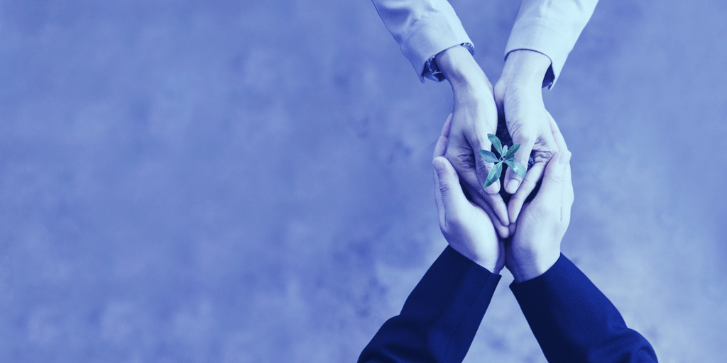 Why Libra member Bison Trails is backing anti-Libra Celo - Decrypt