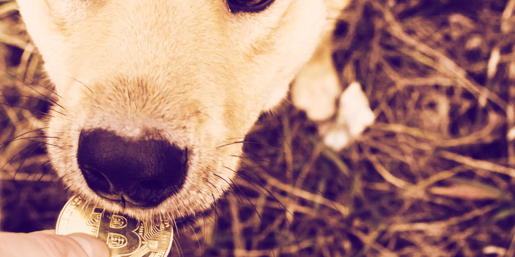 This guy just named his dog 'Bitcoin'. He's not the first - Decrypt