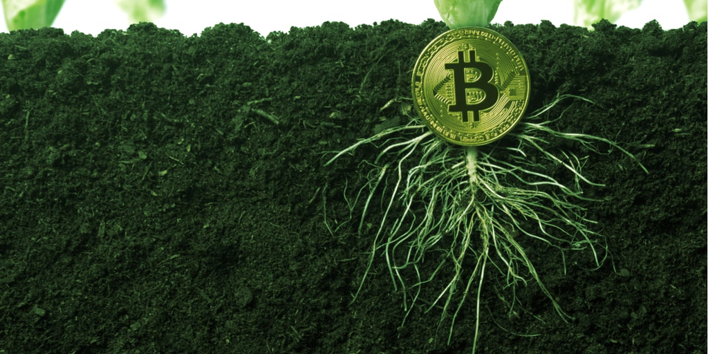 ¿Qué Es Taproot, La Actualización Propuesta Para Bitcoin? - Decrypt