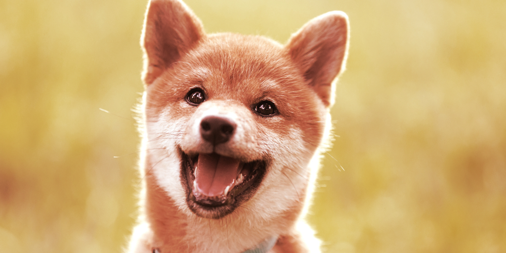 What Is Baby Doge and Why Is Elon Musk Pumping the Dogecoin Knockoff ...