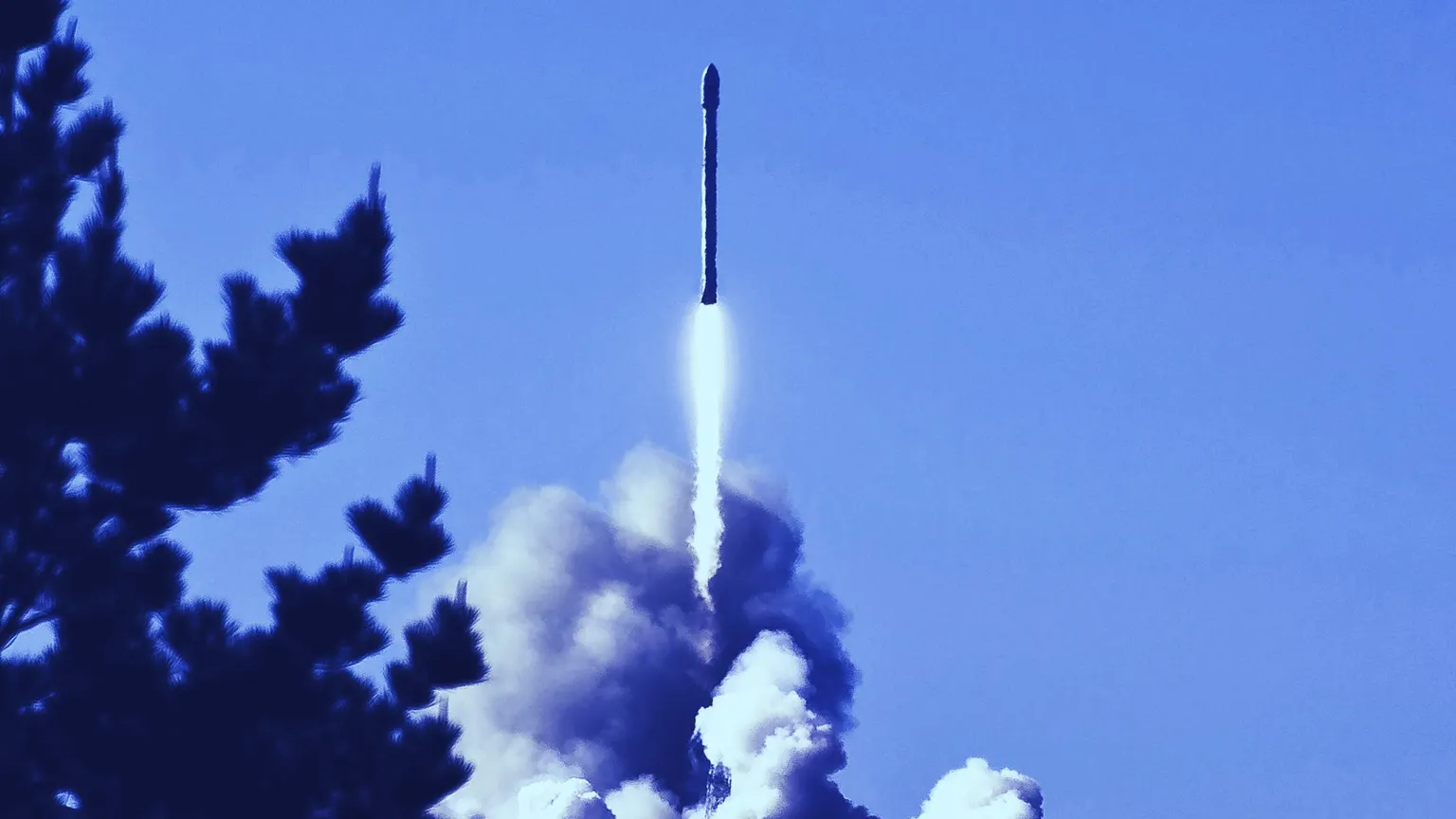 Elon Musk’s SpaceX rocket sends cryptocurrency wallet to space - Decrypt