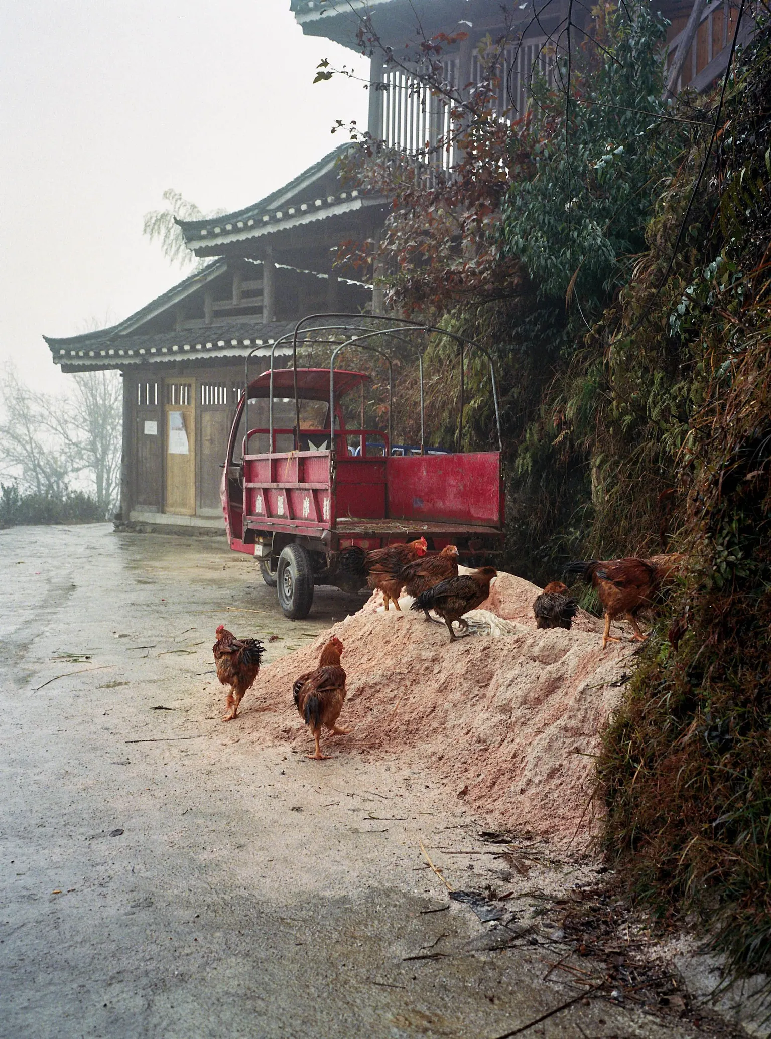 China's Rural Tech Revolution and the “Blockchain Chicken Farm” - Decrypt