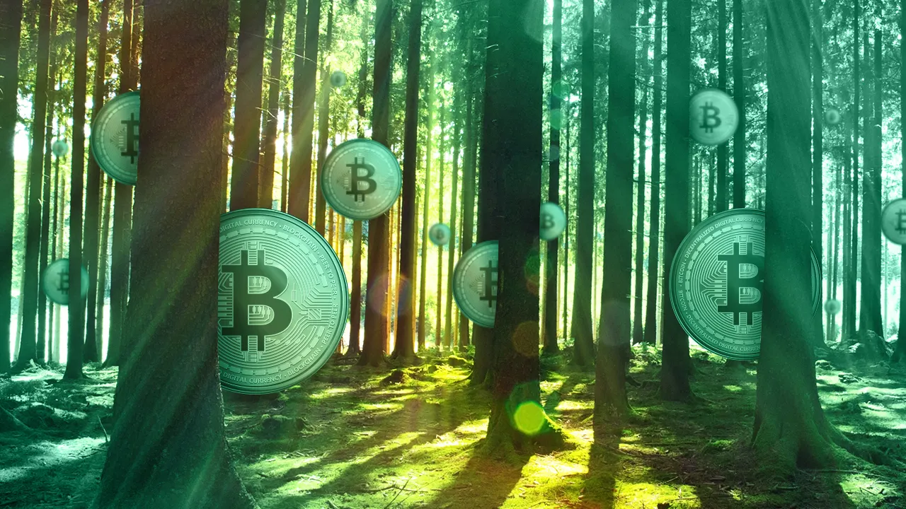 'Unsubstantiated': Expert Refutes Greenpeace Bitcoin Mining Pollution ...