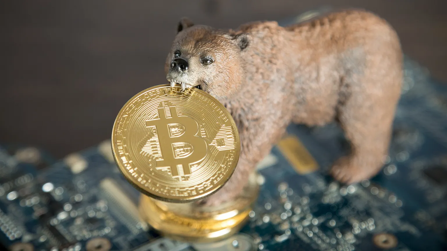 Bear Market 'Much Worse Than Expected’: Analysts Pitch New Bitcoin ...